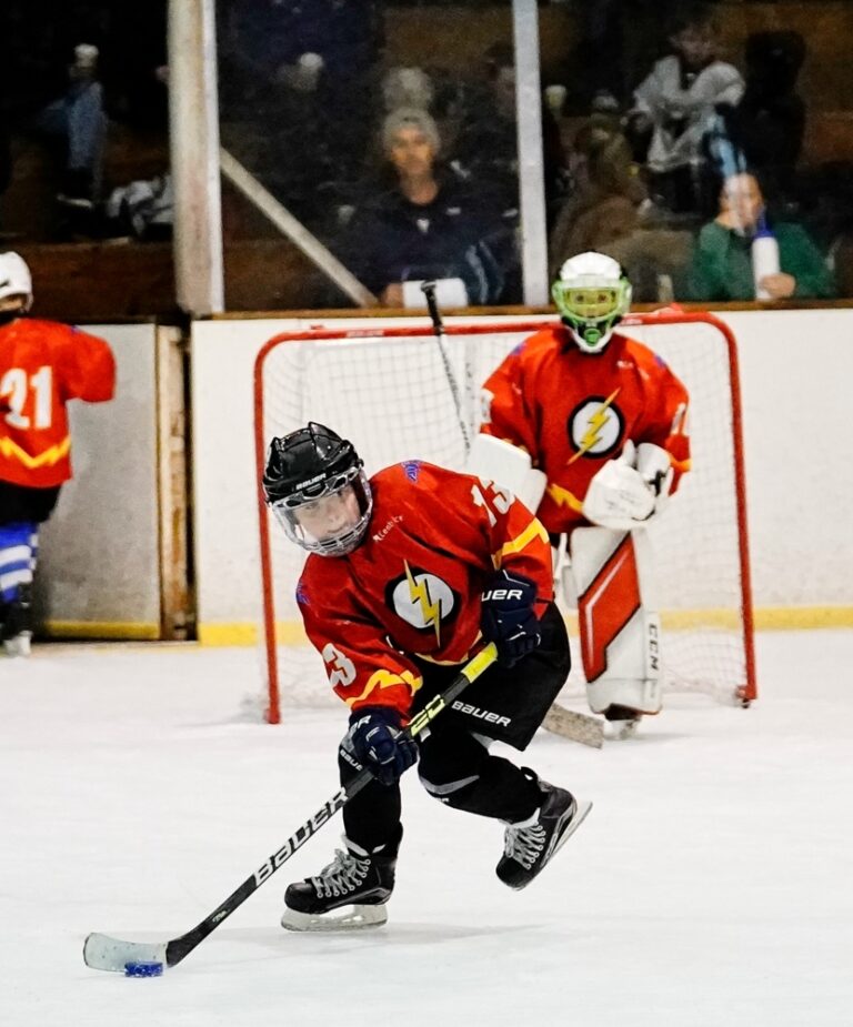Auckland Ice Hockey Association | Learn to Play Ice Hockey | Child ...